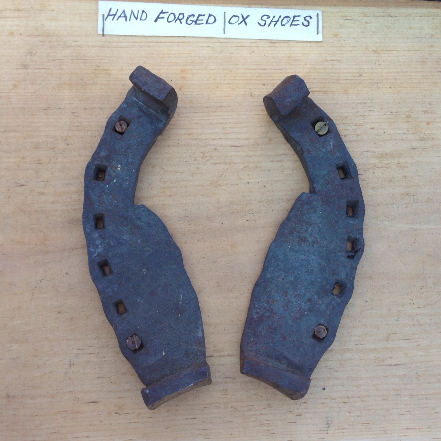 My Oxen Shoe Museum–Dream or Reality? – Detecting Diva